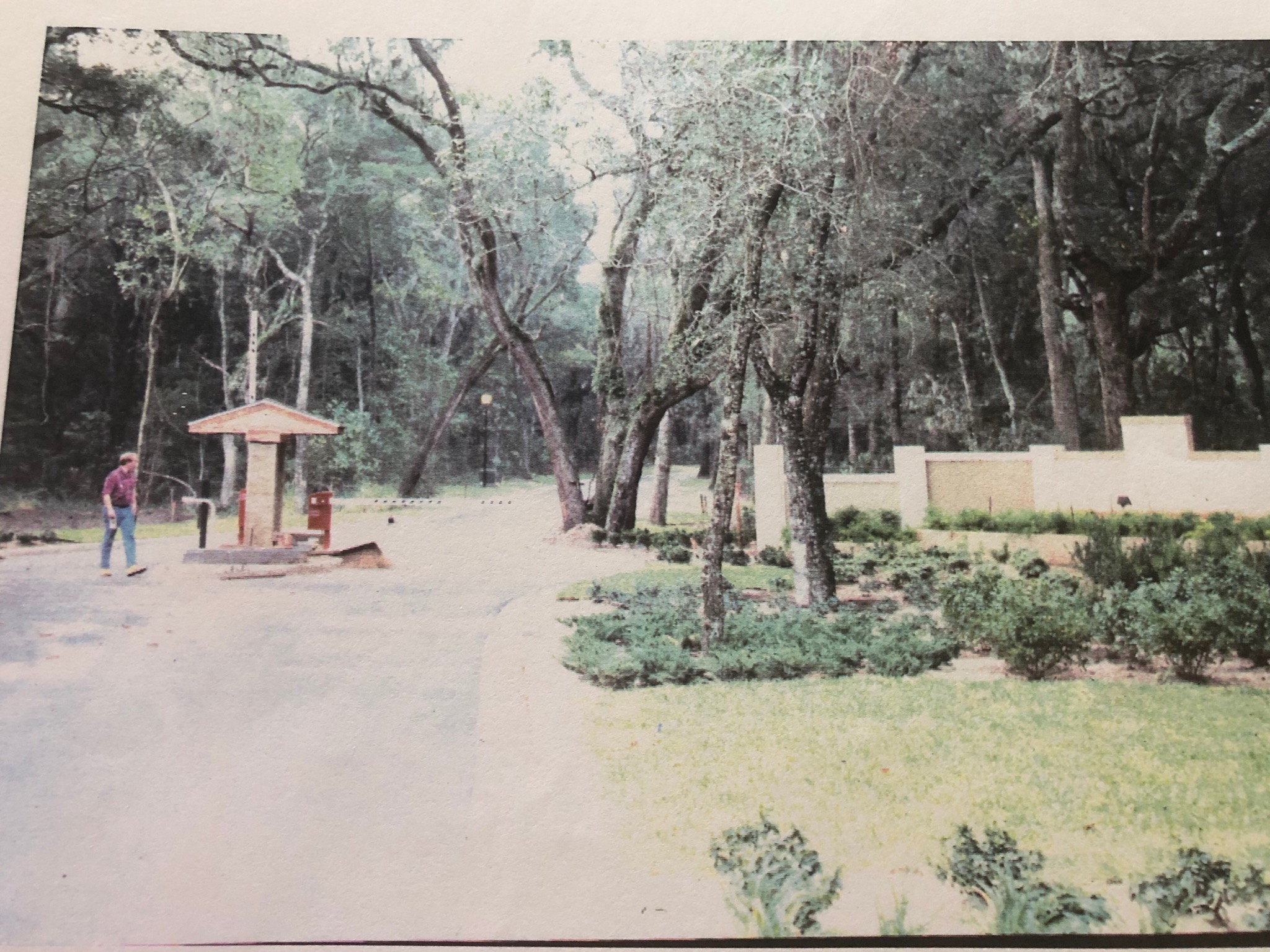 Test Before & After – Plantation Point